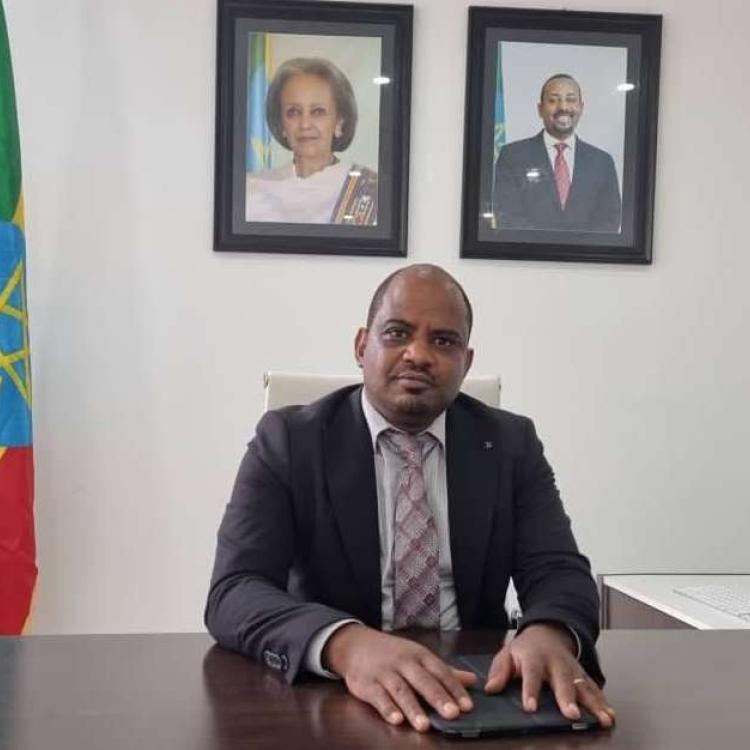 Profiles | MINISTRY OF HEALTH - Ethiopia